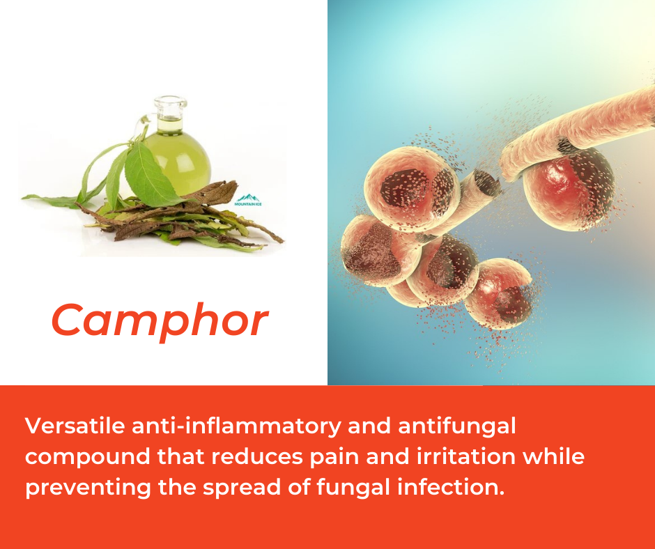 How Camphor is Used in Mountain Ice Sports Recovery Gel – Mountain Ice ...