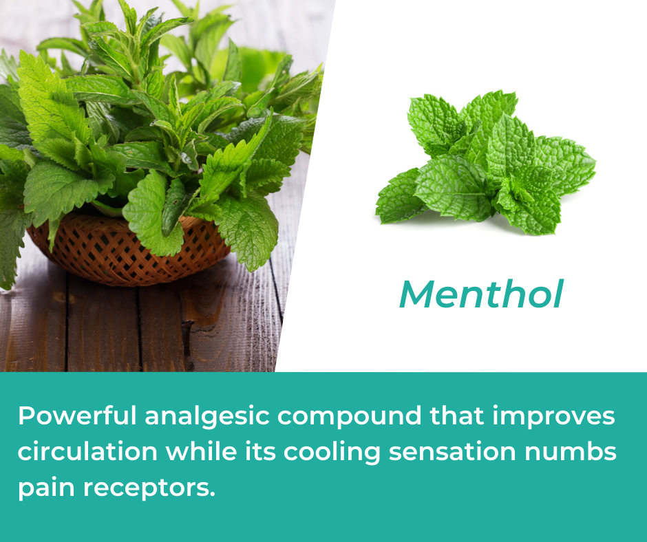 How Menthol is Used in Mountain Ice Pain Relief Gel